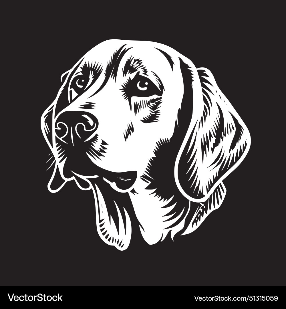 Labrador retriever - black and white isolated Vector Image