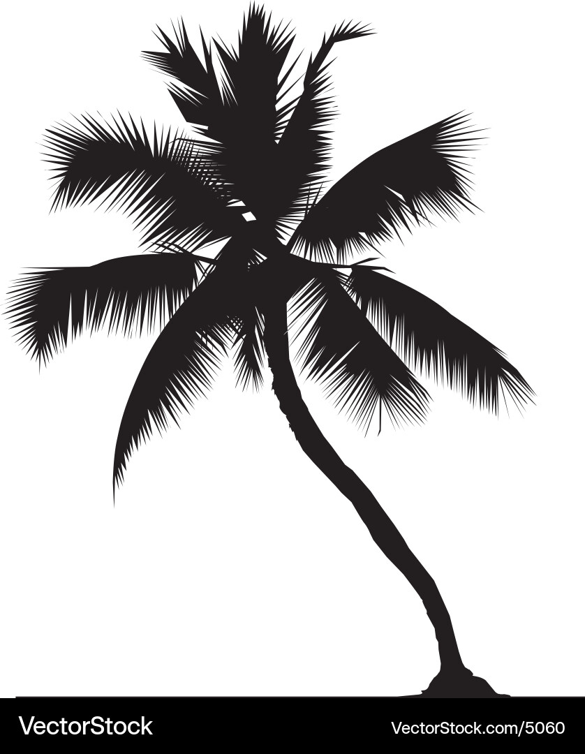 Coconut tree Royalty Free Vector Image - VectorStock