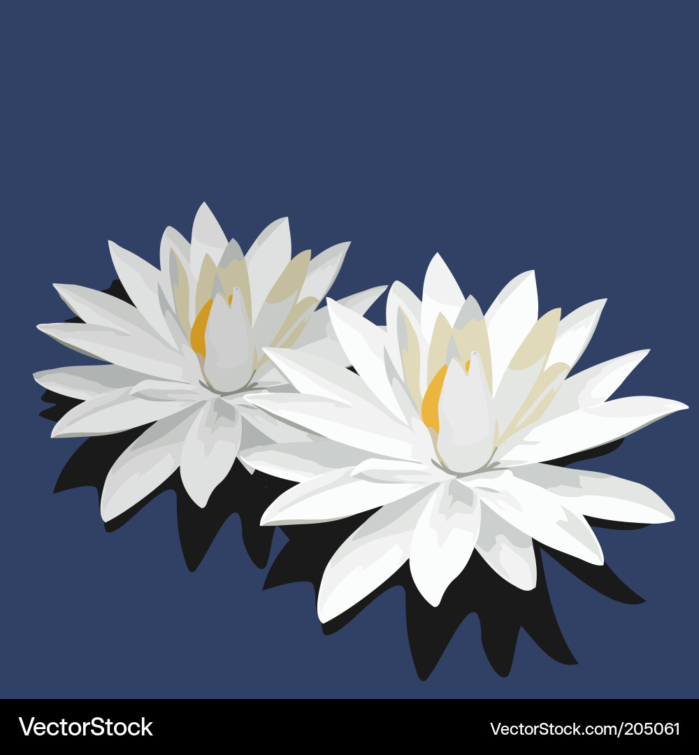 Lotus Royalty Free Vector Image - VectorStock