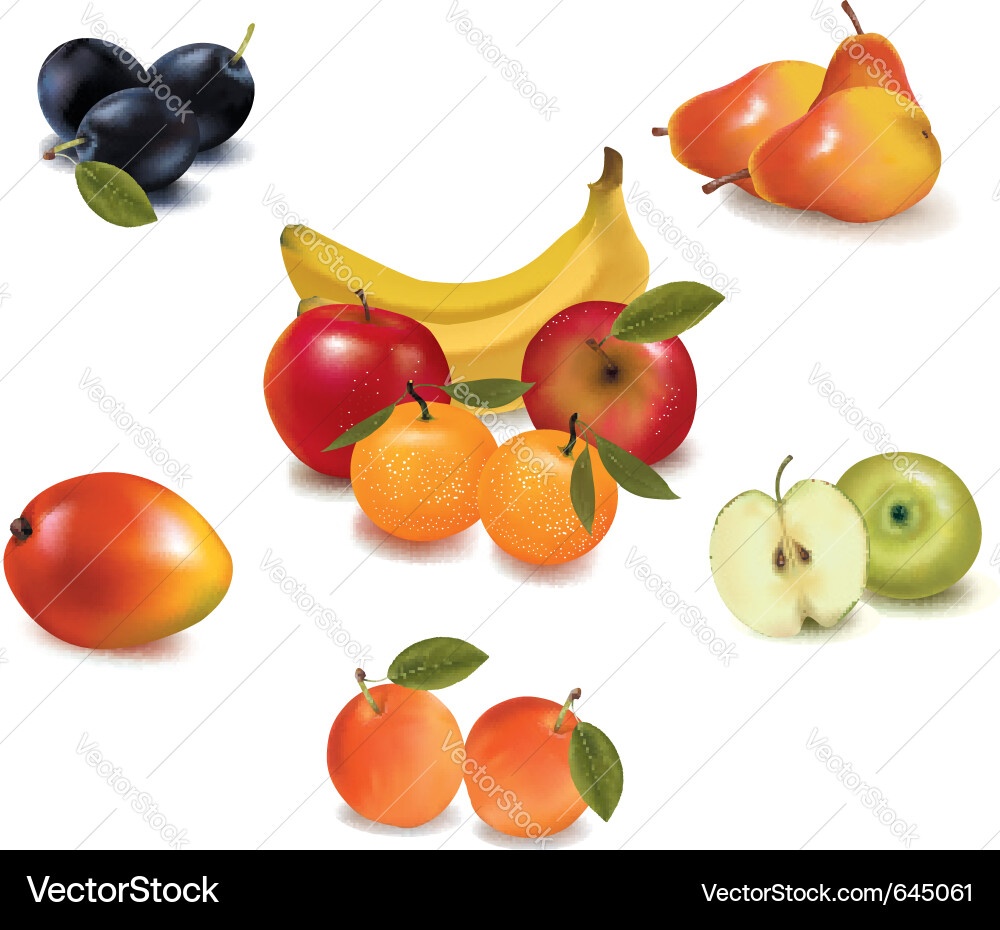 Ripe fruit Royalty Free Vector Image - VectorStock