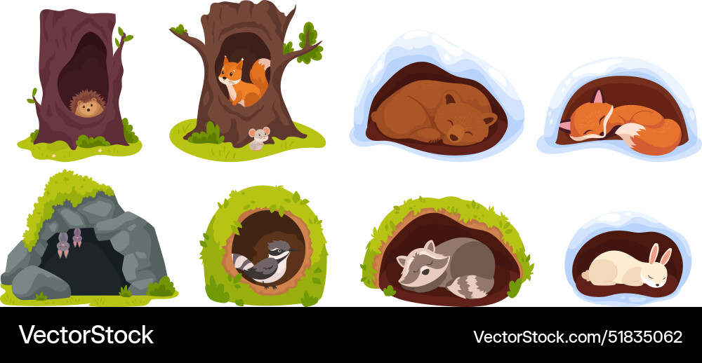Animals inside burrow wild animal in burrows cave Vector Image