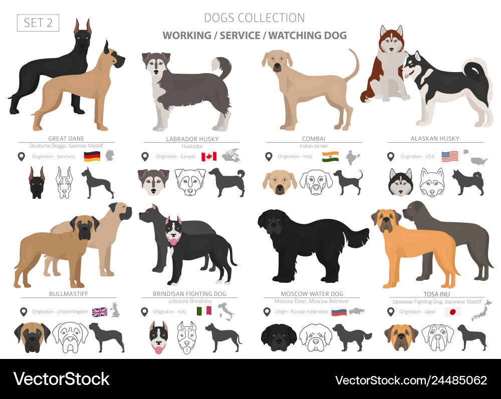 Fighting Dog Vector Images (over 1,300)