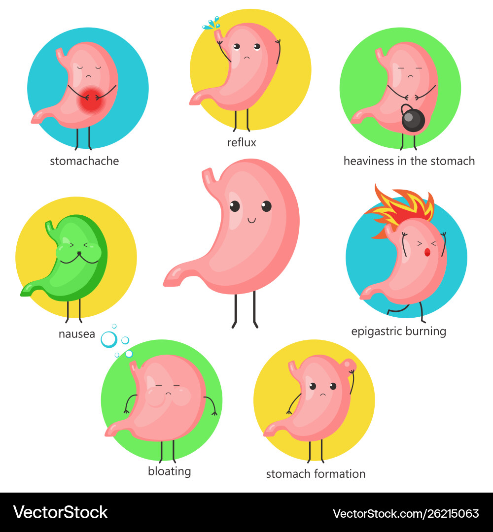 Cute cartoon stomach character set flat Royalty Free Vector