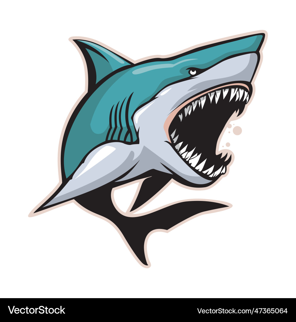 Shark logo Royalty Free Vector Image - VectorStock