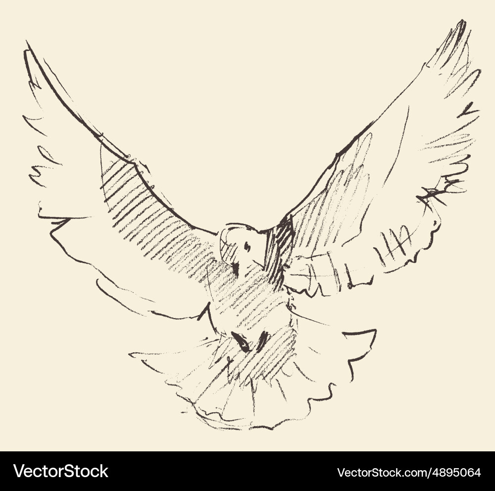 Vintage White Pigeon Peace Engraving Royalty Free Vector
