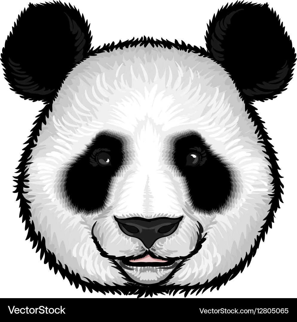Adorable Panda Face Royalty Free Vector Image - VectorStock
