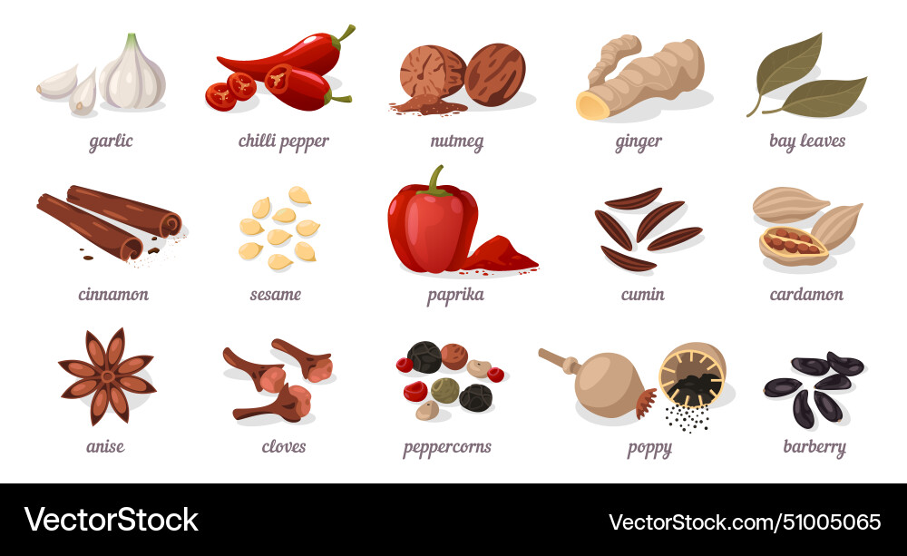 Cartoon spices flat dry herbs and condiments for Vector Image