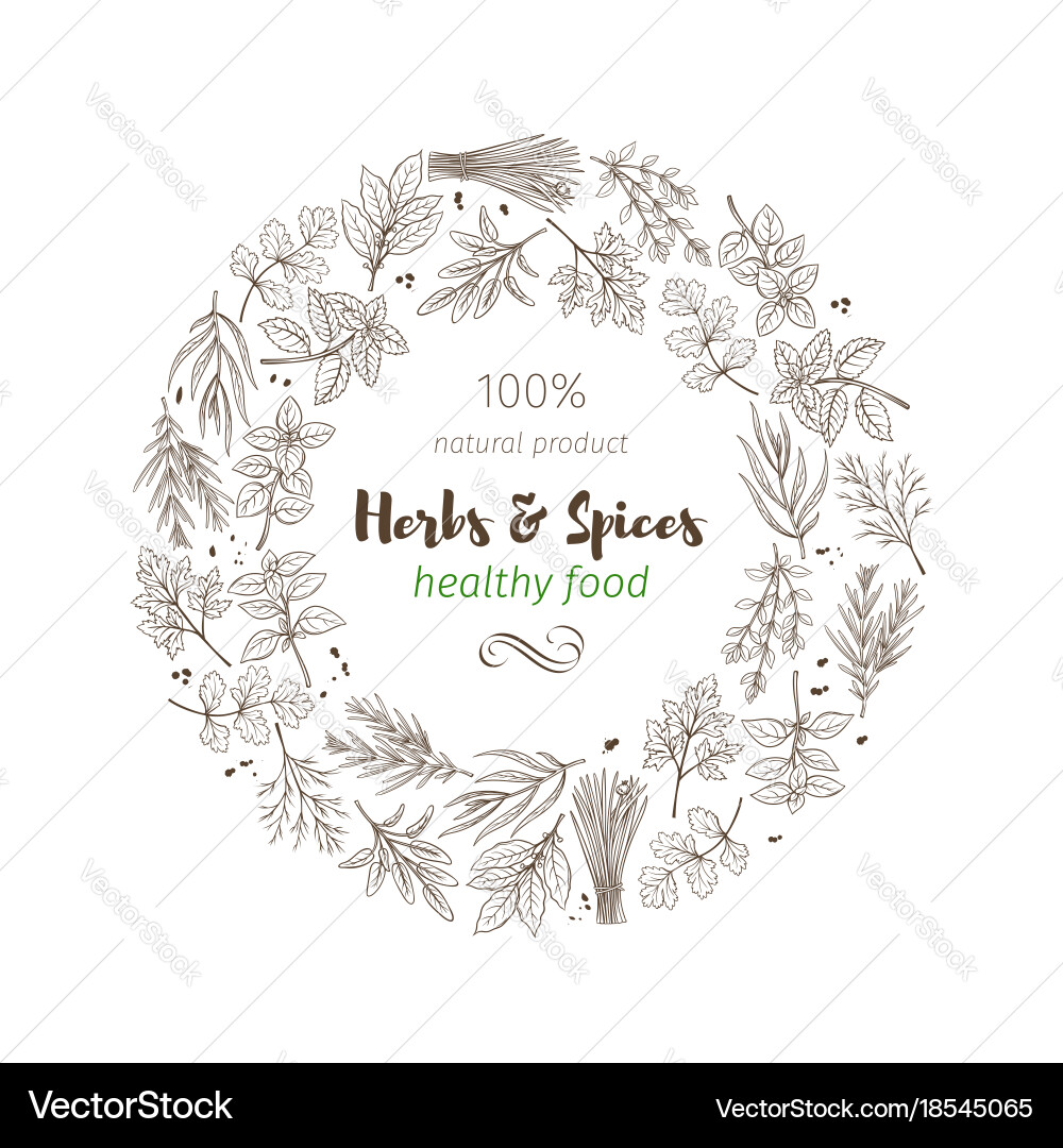 Hand drawn sketch herbs and spices Royalty Free Vector Image