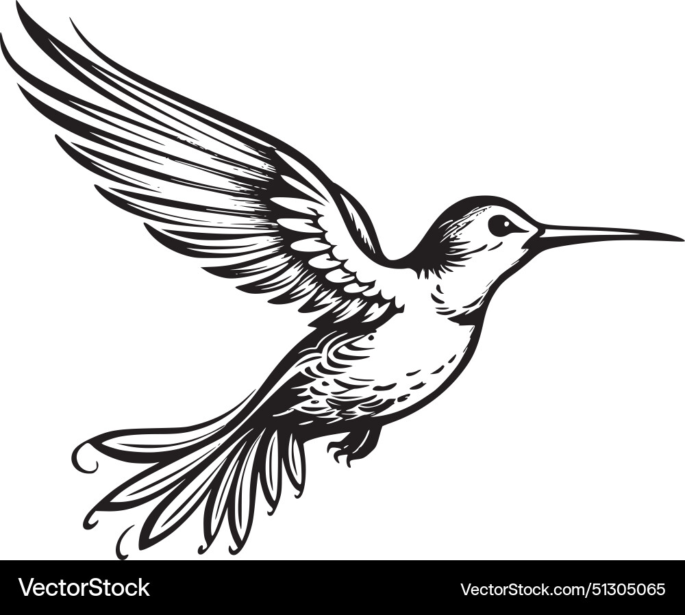 Hummingbird - minimalist and flat logo Royalty Free Vector