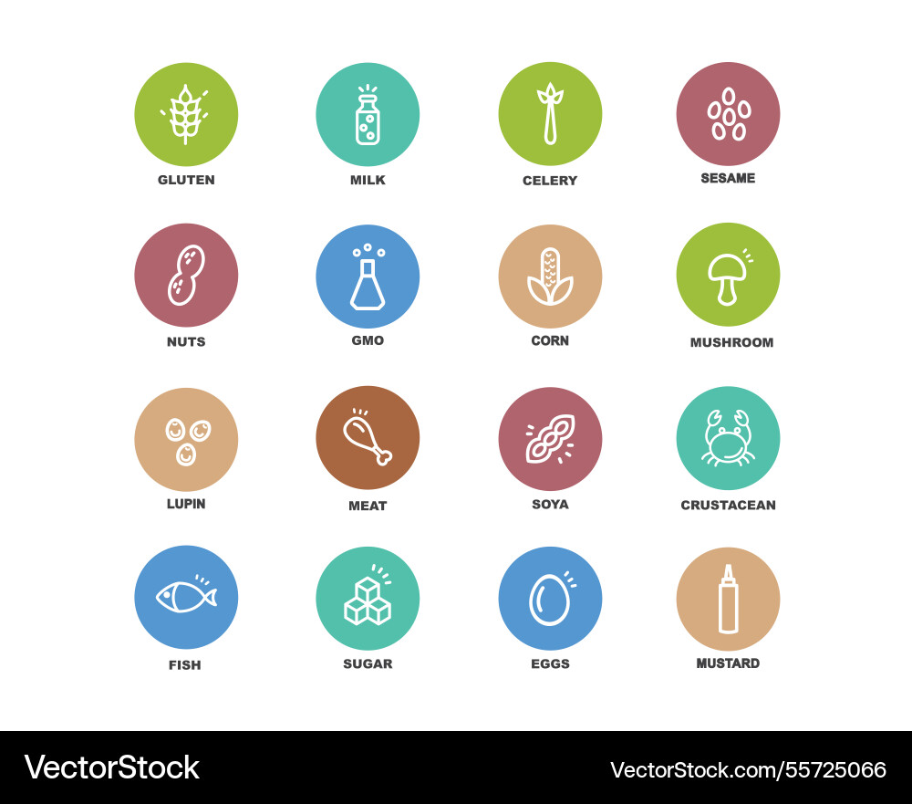 All allergens on the menu in different colors Vector Image