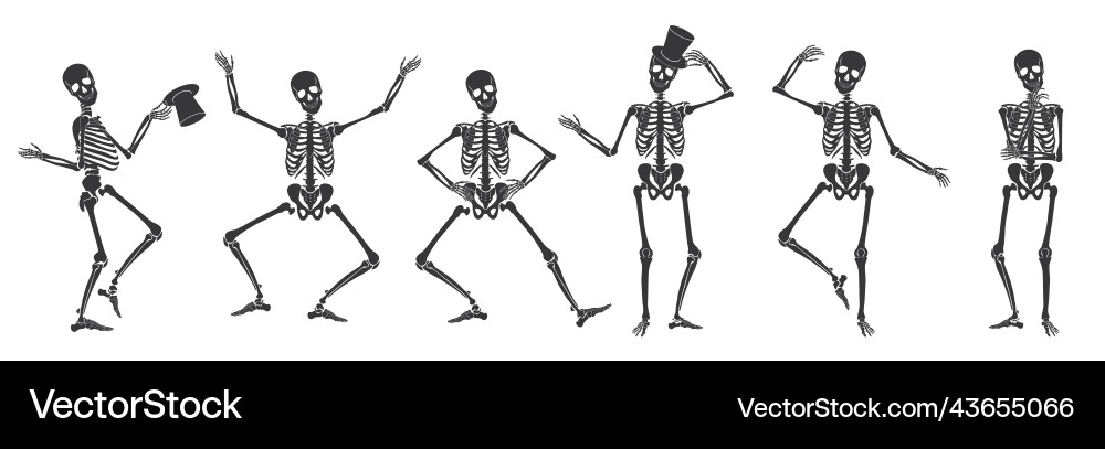Dancing human bones skeletons different skeleton Vector Image