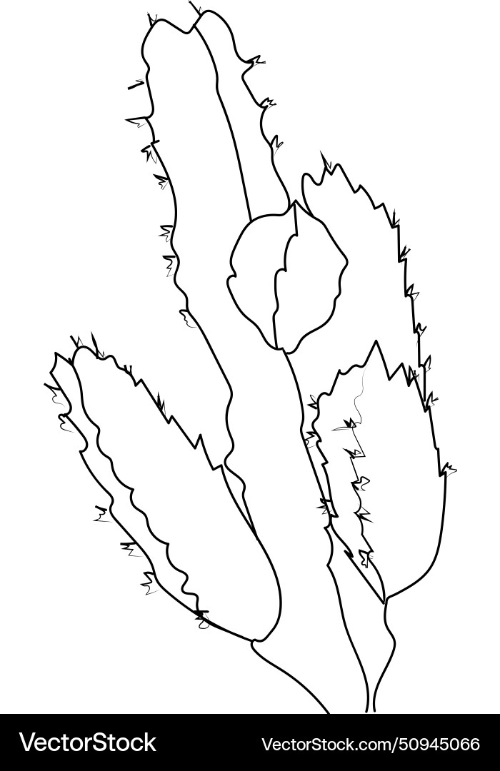Minimilist desert cactus coloring pages Royalty Free Vector