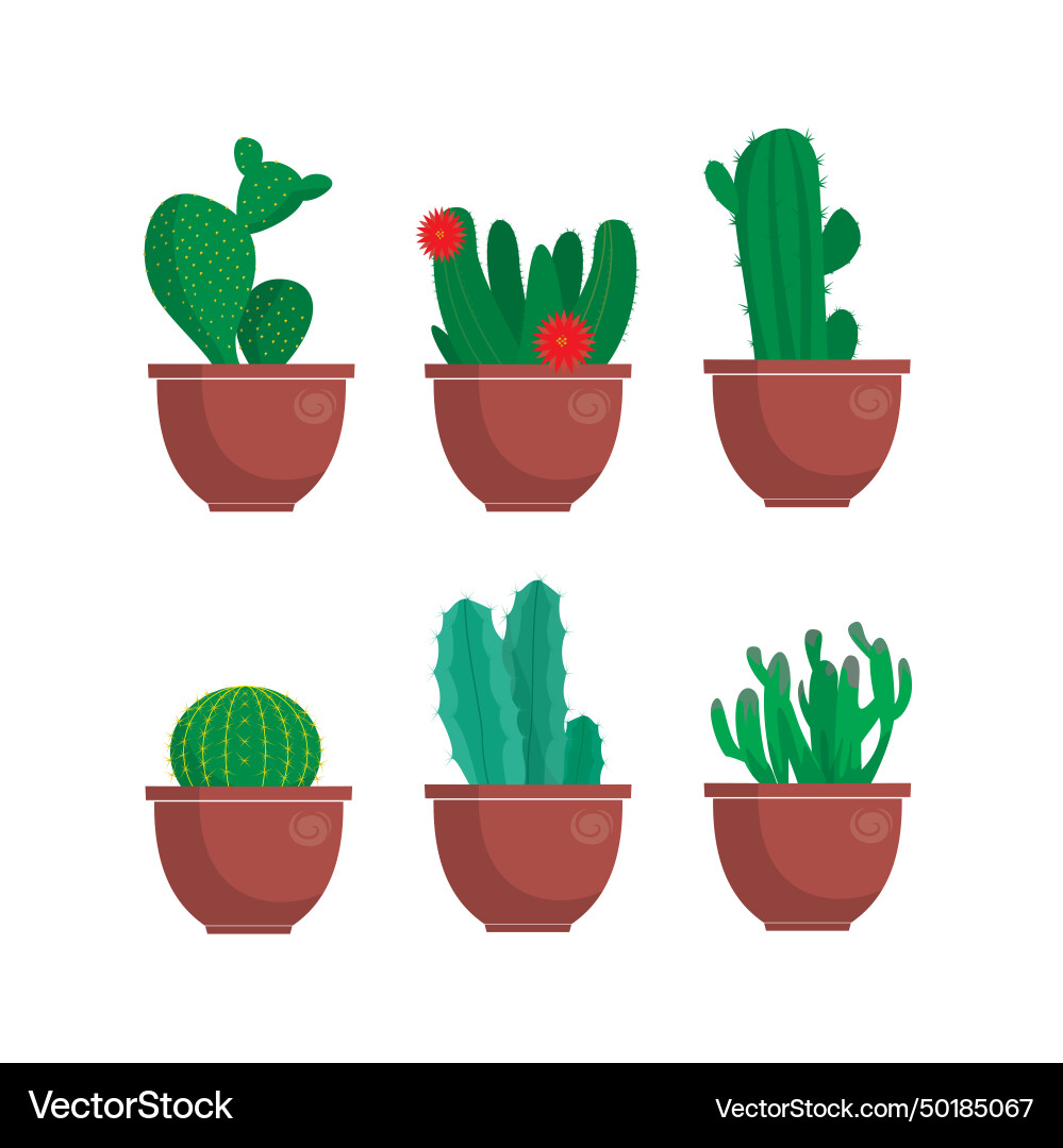 Cactus Royalty Free Vector Image - VectorStock