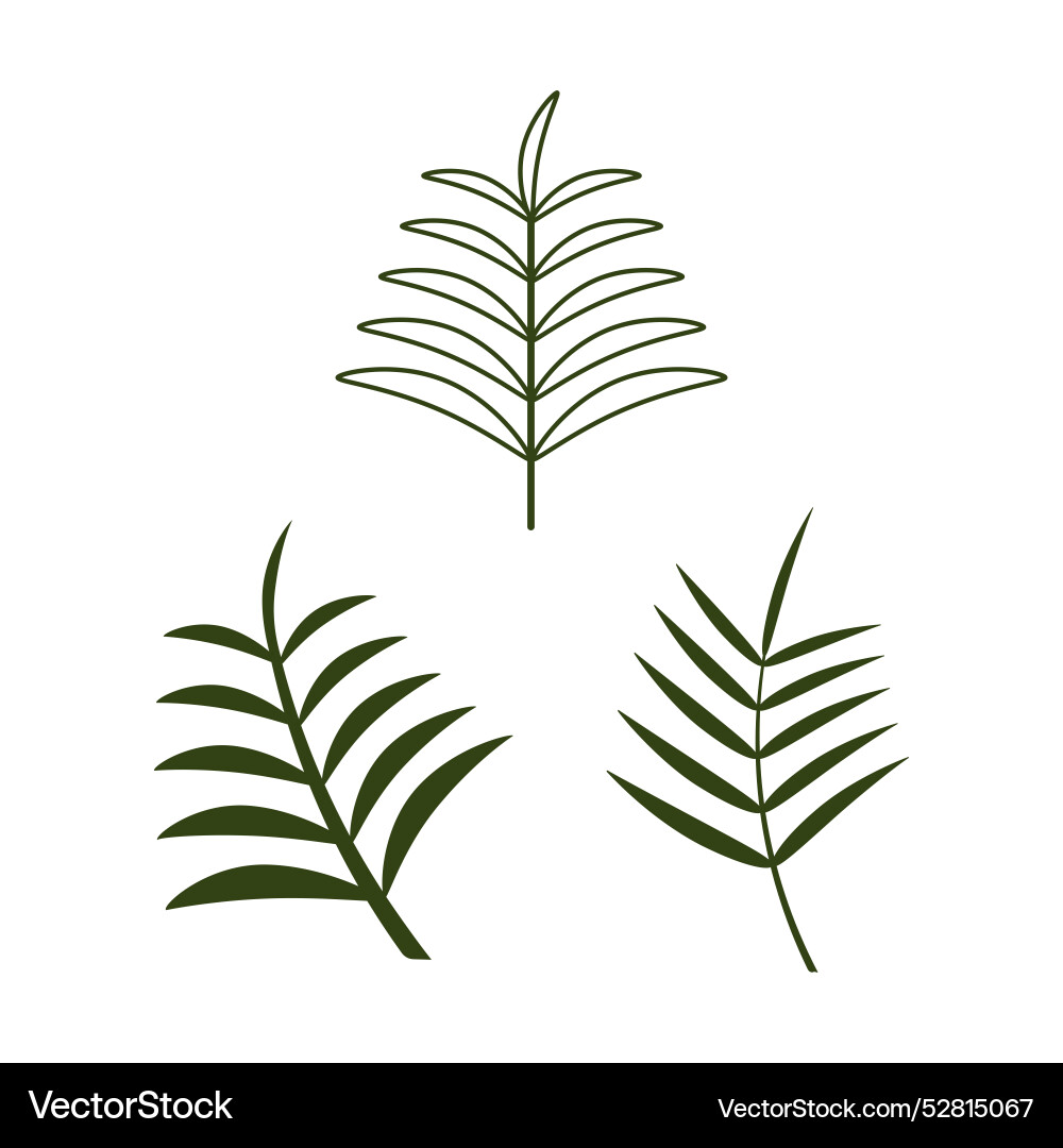 Leaf palm oil design Royalty Free Vector Image