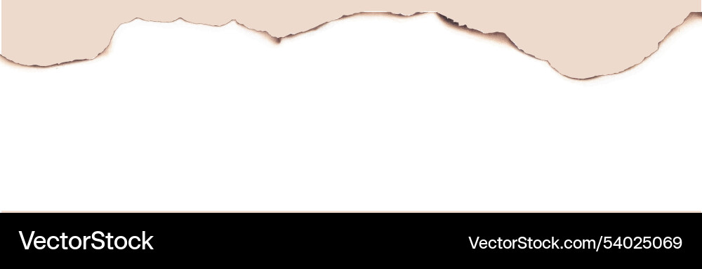 Burnt paper edges realistic Royalty Free Vector Image