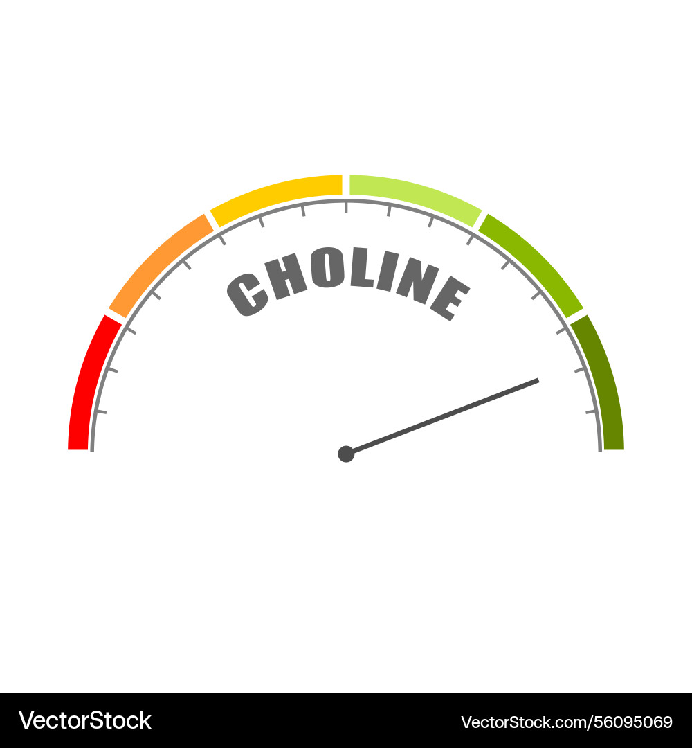 Choline essential nutrient level on measure scale Vector Image
