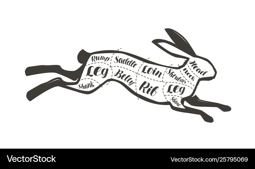 Diagram guide for cutting rabbit meat menu Vector Image