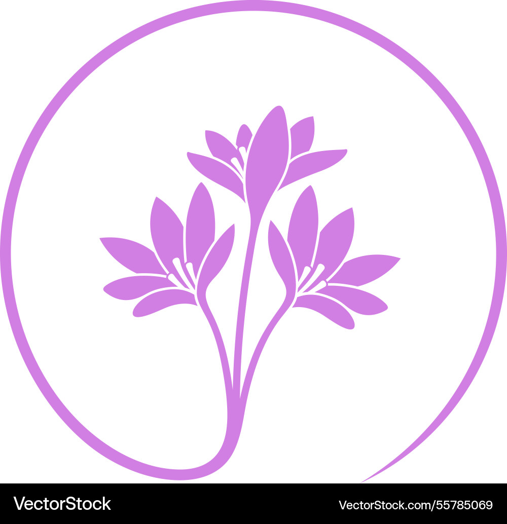 Saffron Royalty Free Vector Image - VectorStock
