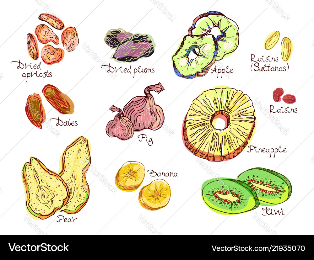 Dehydrated fruit set Royalty Free Vector Image