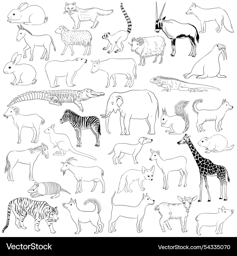 Drawing african animals Royalty Free Vector Image