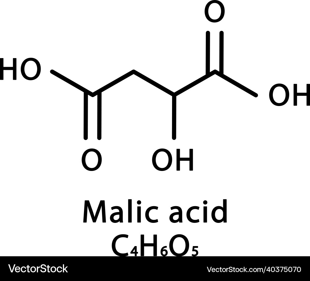 Malic acid molecular structure Royalty Free Vector Image