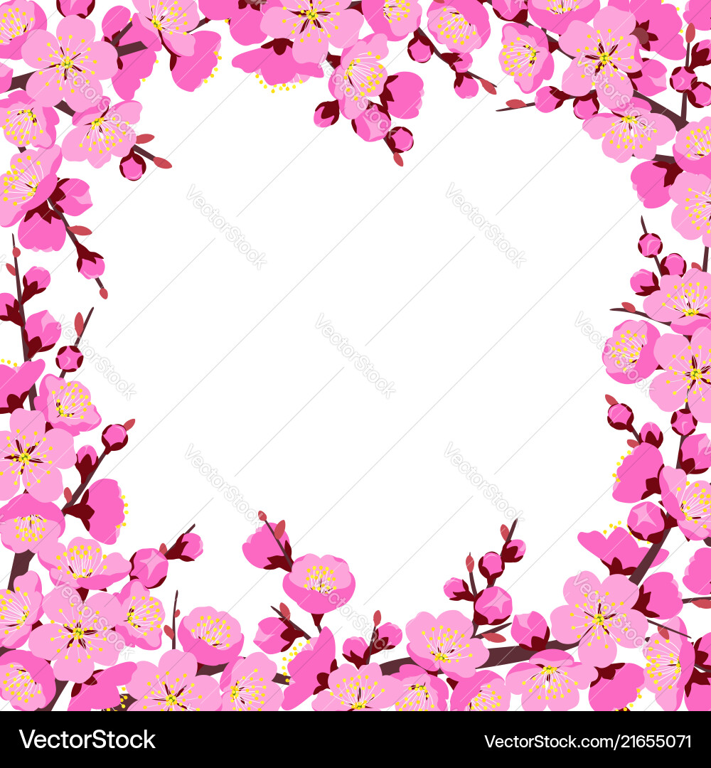 Spring tree blossom square frame Royalty Free Vector Image