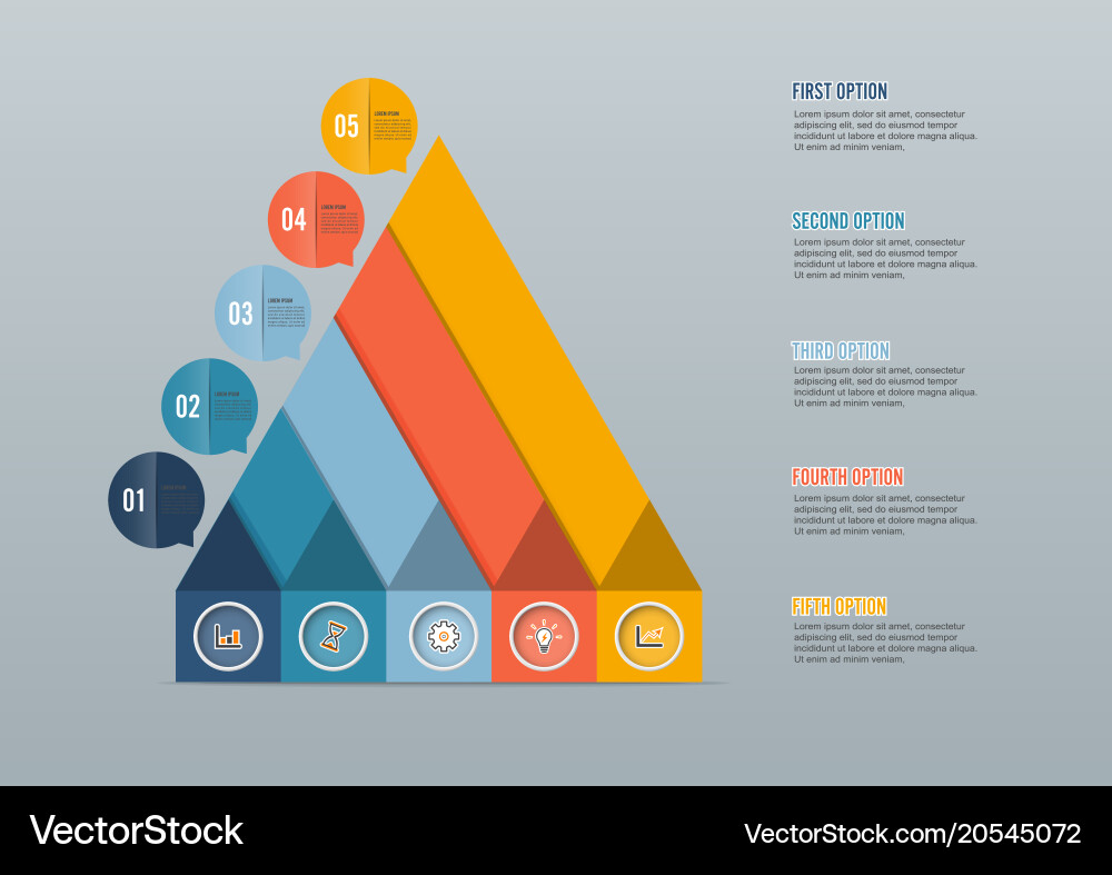 Business growth 5 step infographics option Vector Image