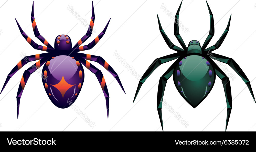 Cartoon spider Royalty Free Vector Image - VectorStock
