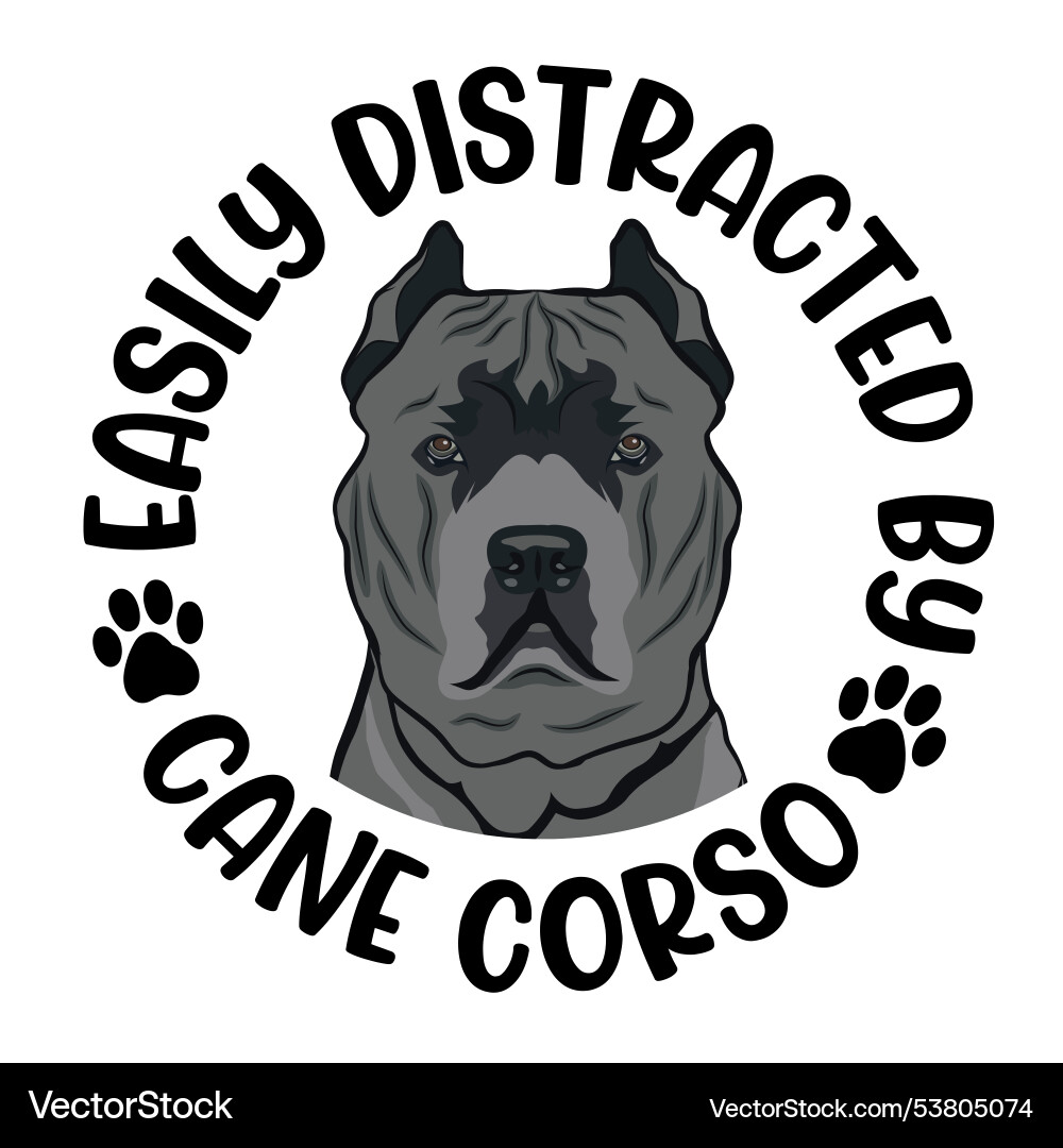 Easily distracted by cane corso t-shirt design Vector Image