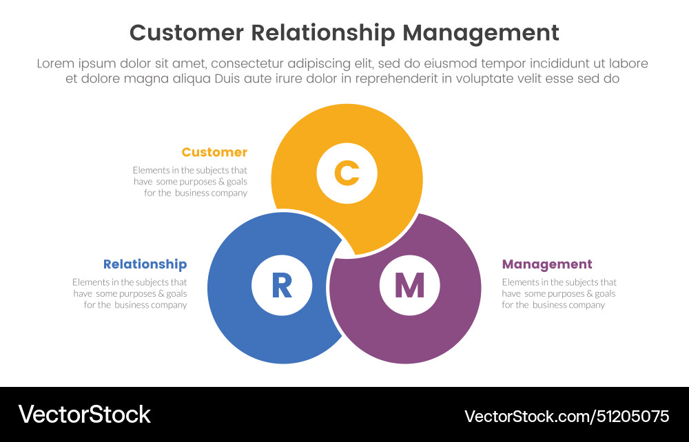 Crm customer relationship management infographic Vector Image