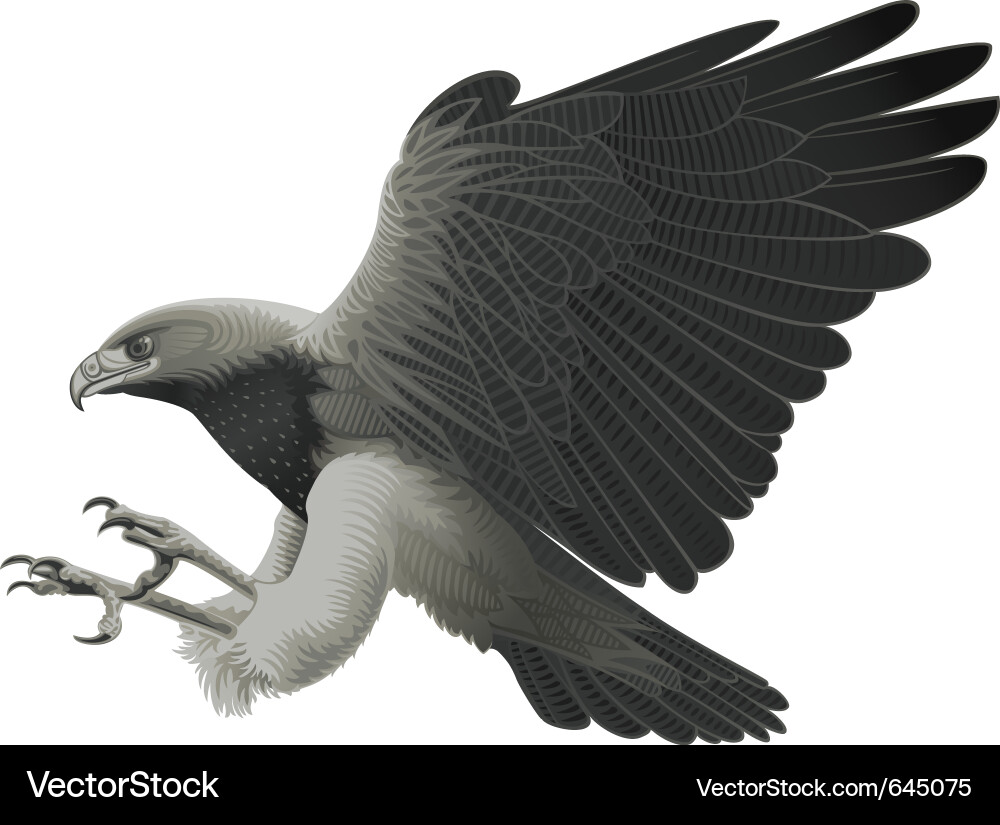 Eagle Royalty Free Vector Image - VectorStock