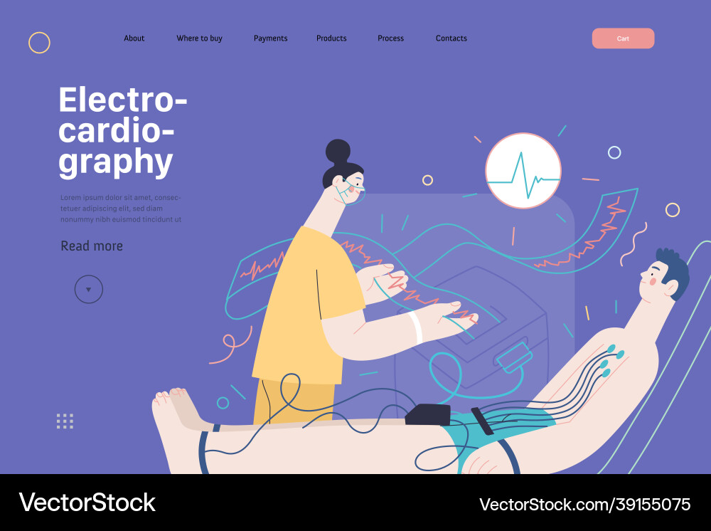 Ecg electrocardiography - medical tests web Vector Image