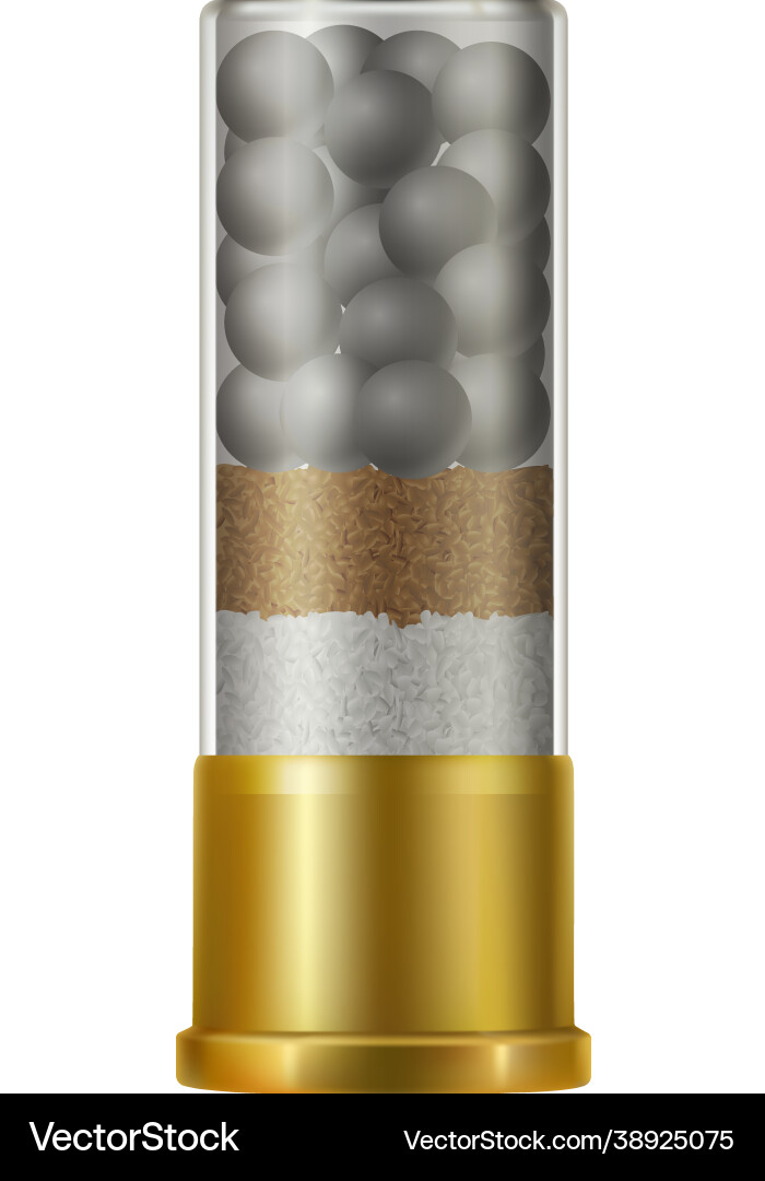 Realistic shotgun shell Royalty Free Vector Image