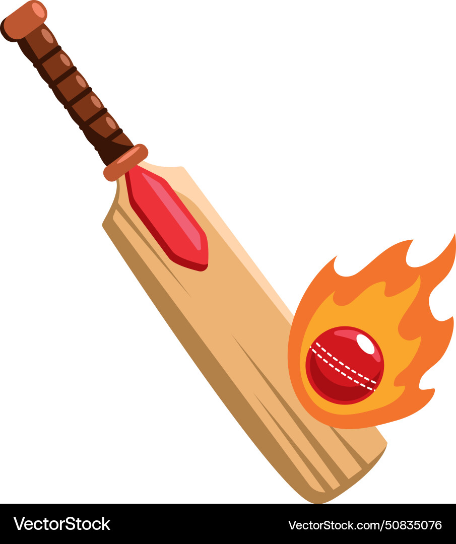 Cricket fire ball Royalty Free Vector Image - VectorStock