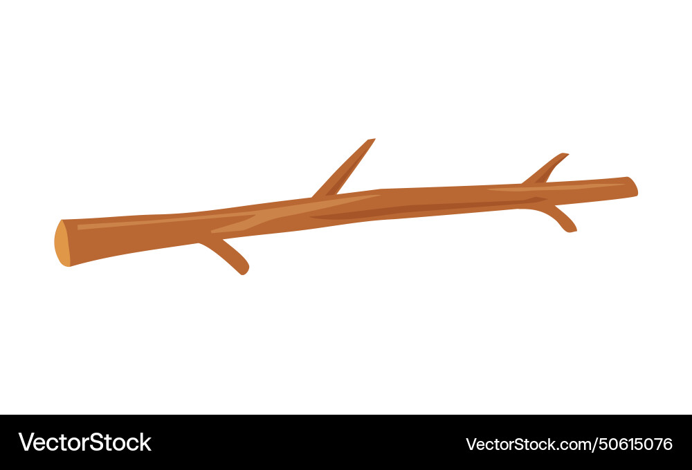 Dry wooden tree branch Royalty Free Vector Image