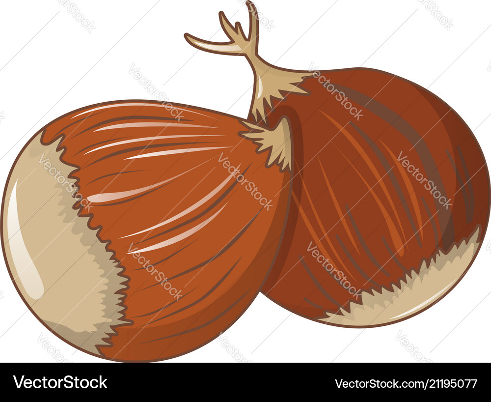 Chestnut icon cartoon style Royalty Free Vector Image