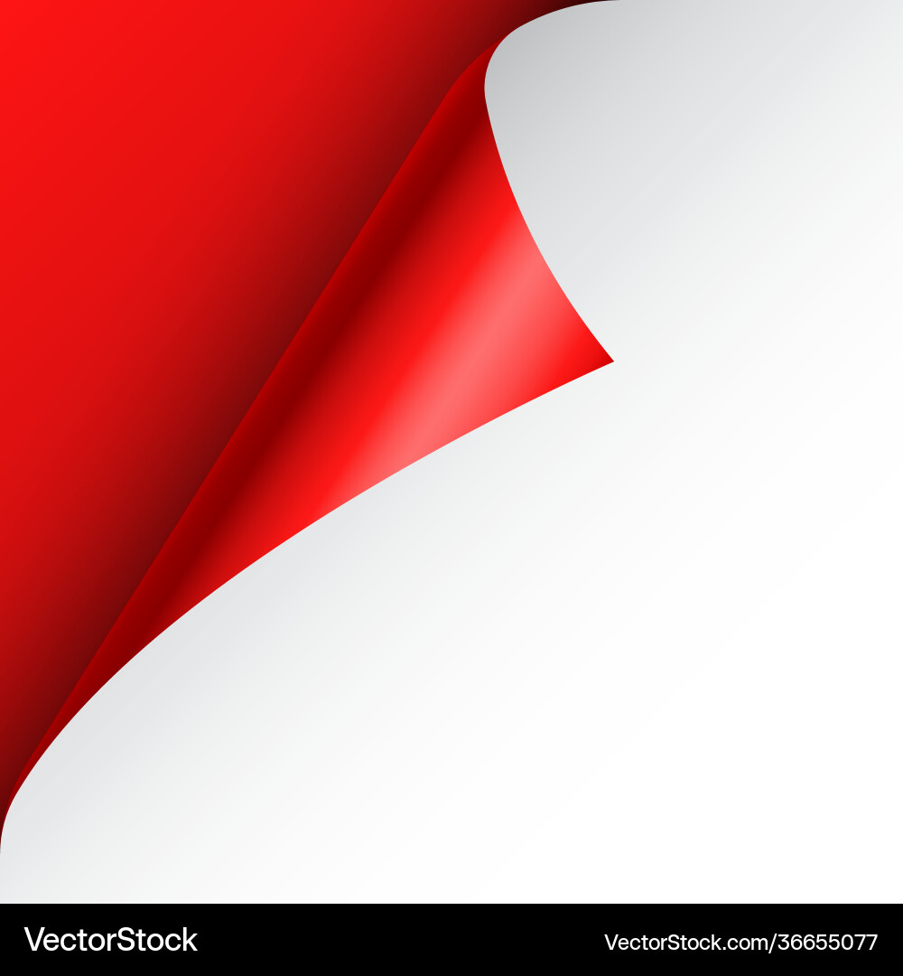 Red paper curl curled page corner with shadow Vector Image