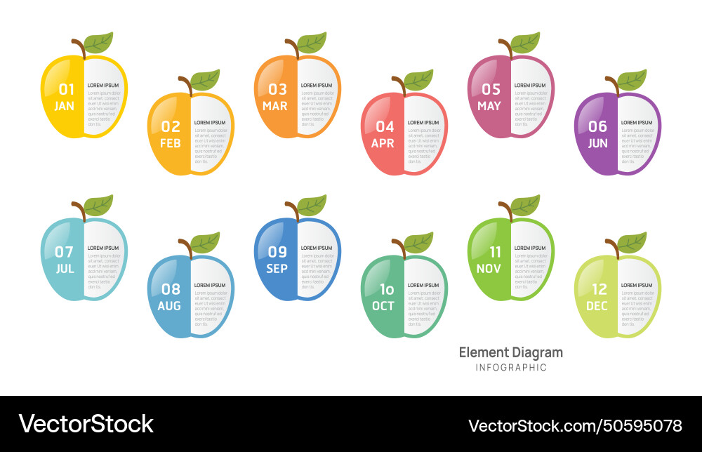 Business step timeline apple infographic template Vector Image