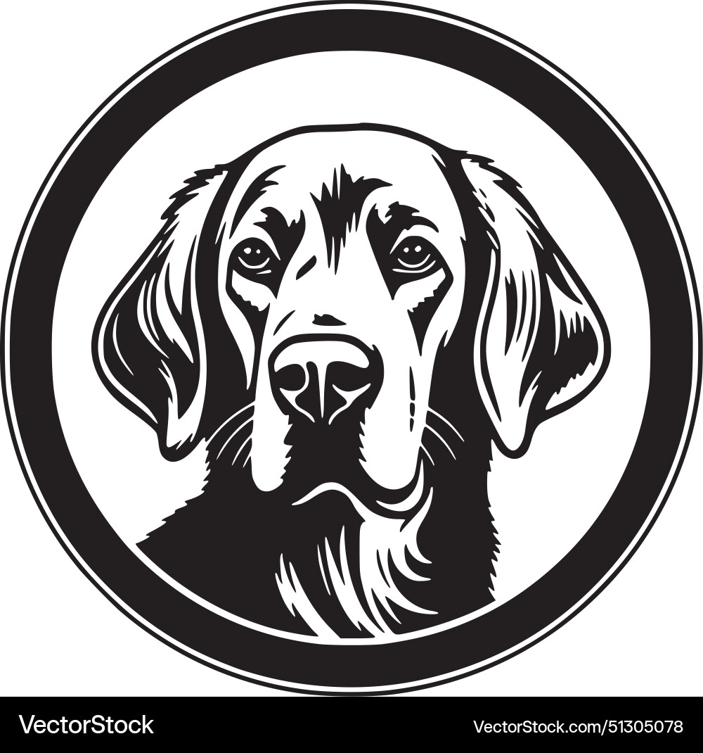 Labrador retriever - black and white isolated Vector Image
