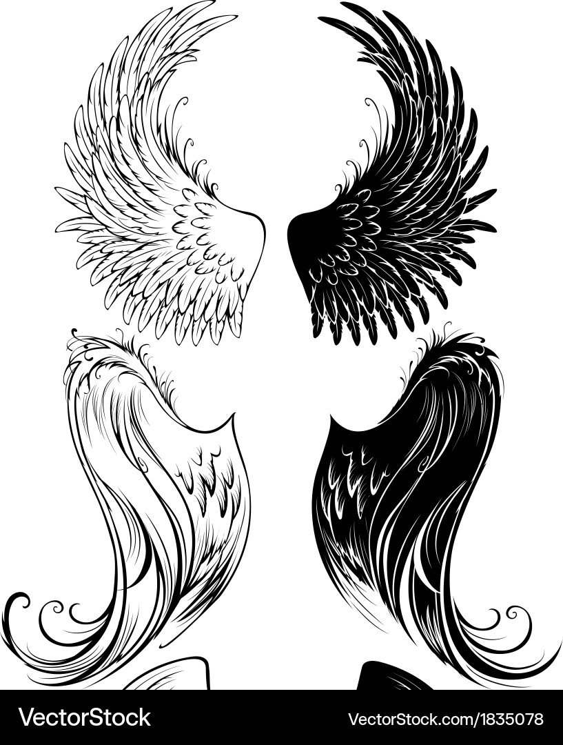 Stylized angel wings Royalty Free Vector Image