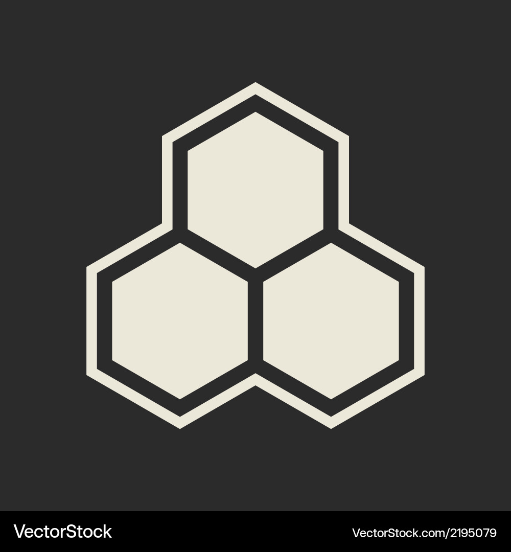 Hexagon icon Royalty Free Vector Image - VectorStock