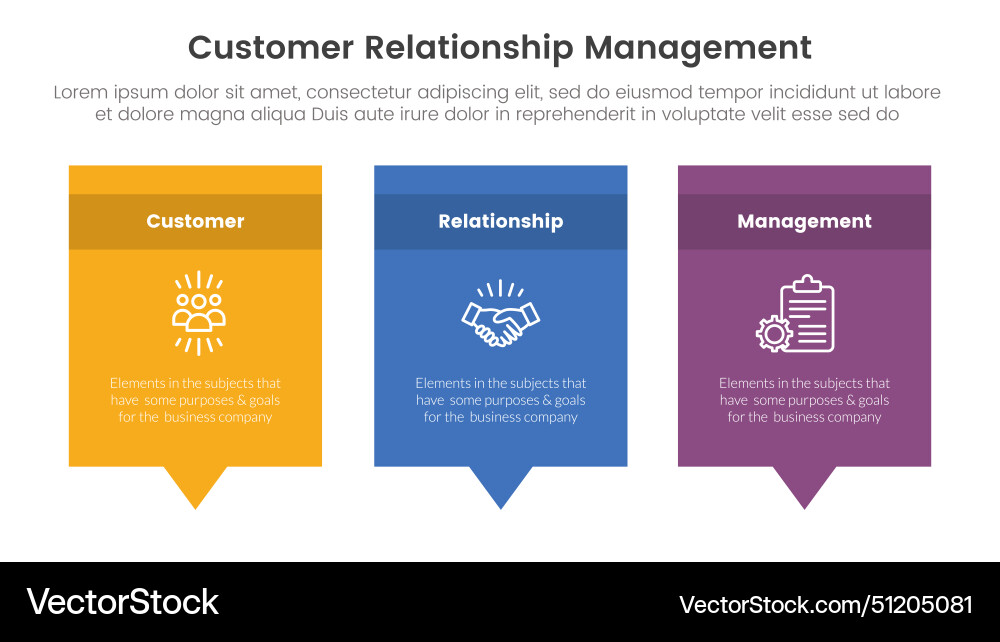 Crm customer relationship management infographic Vector Image