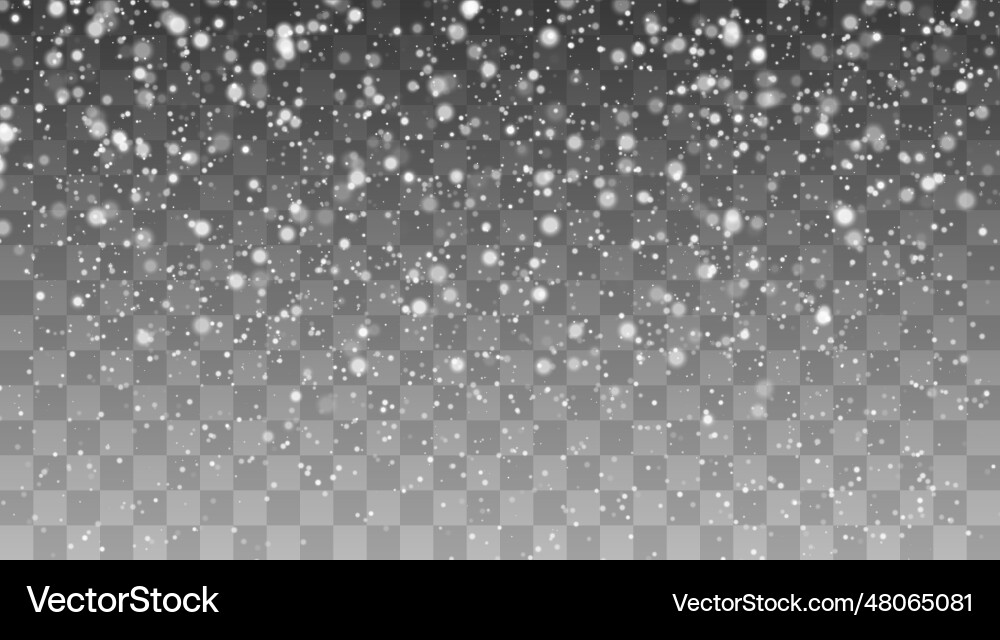 Falling snow overlay background Royalty Free Vector Image