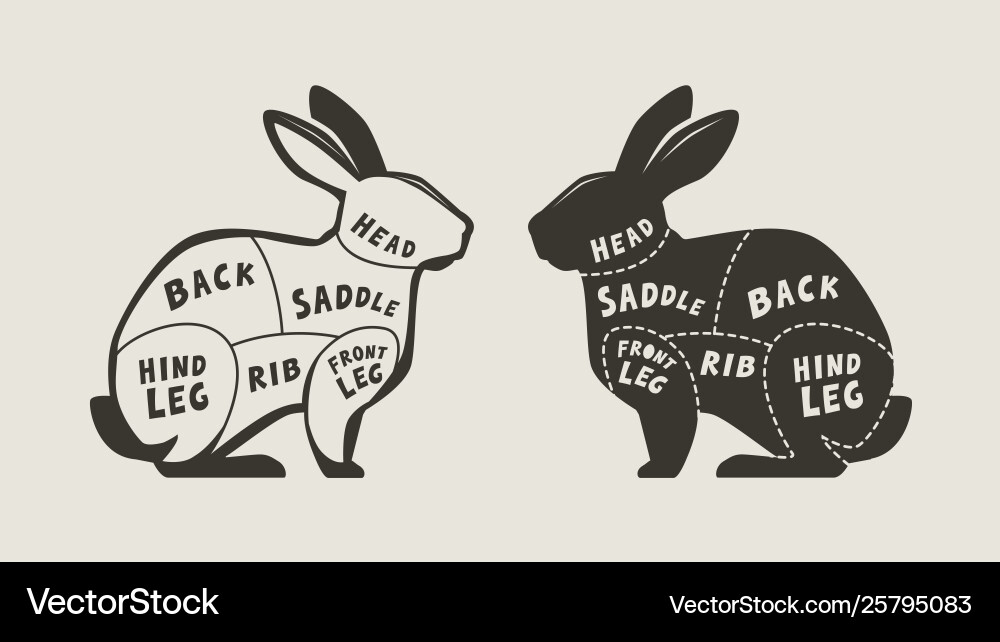 Rabbit meat cutting scheme menu for restaurant Vector Image