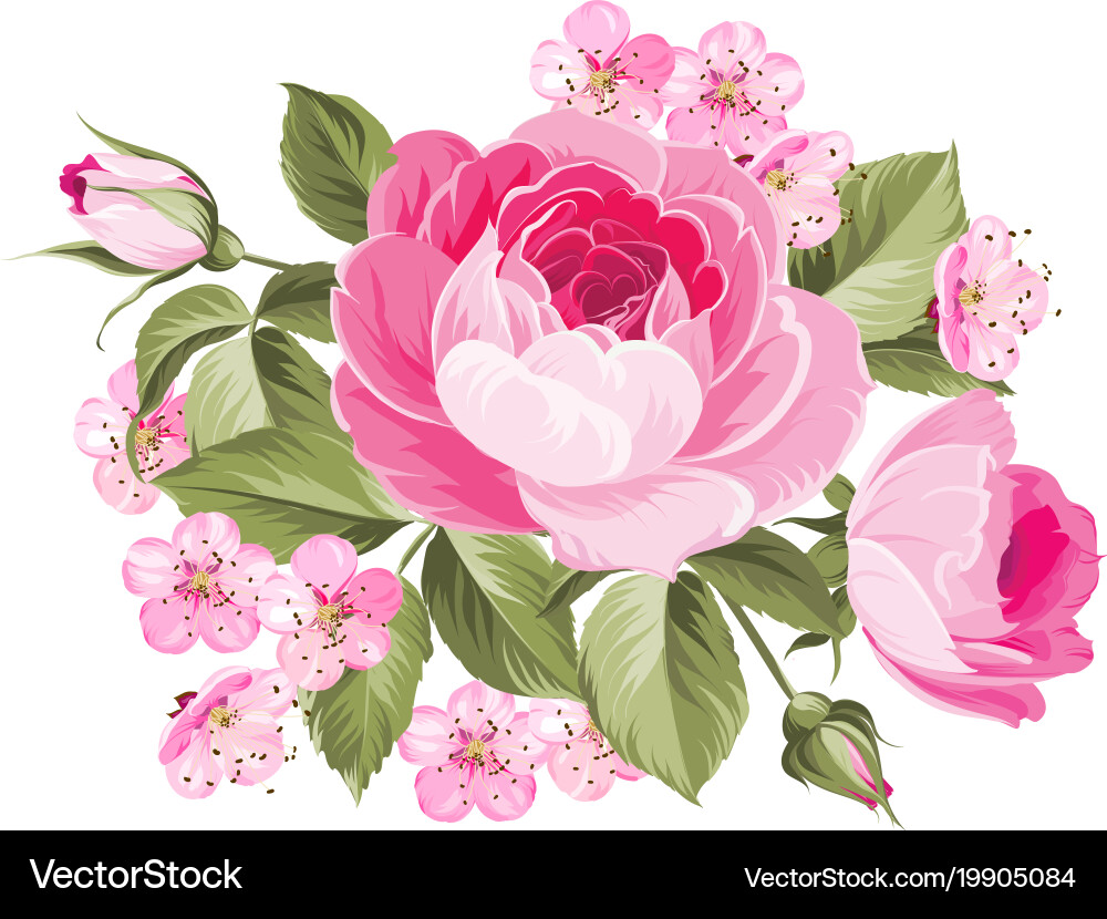 Blooming rose Royalty Free Vector Image - VectorStock