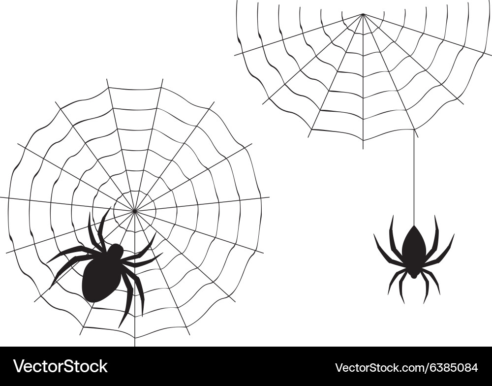 Cartoon spider2 Royalty Free Vector Image - VectorStock