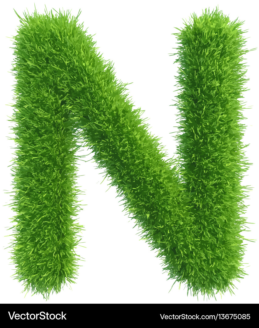 Capital Letter N Images