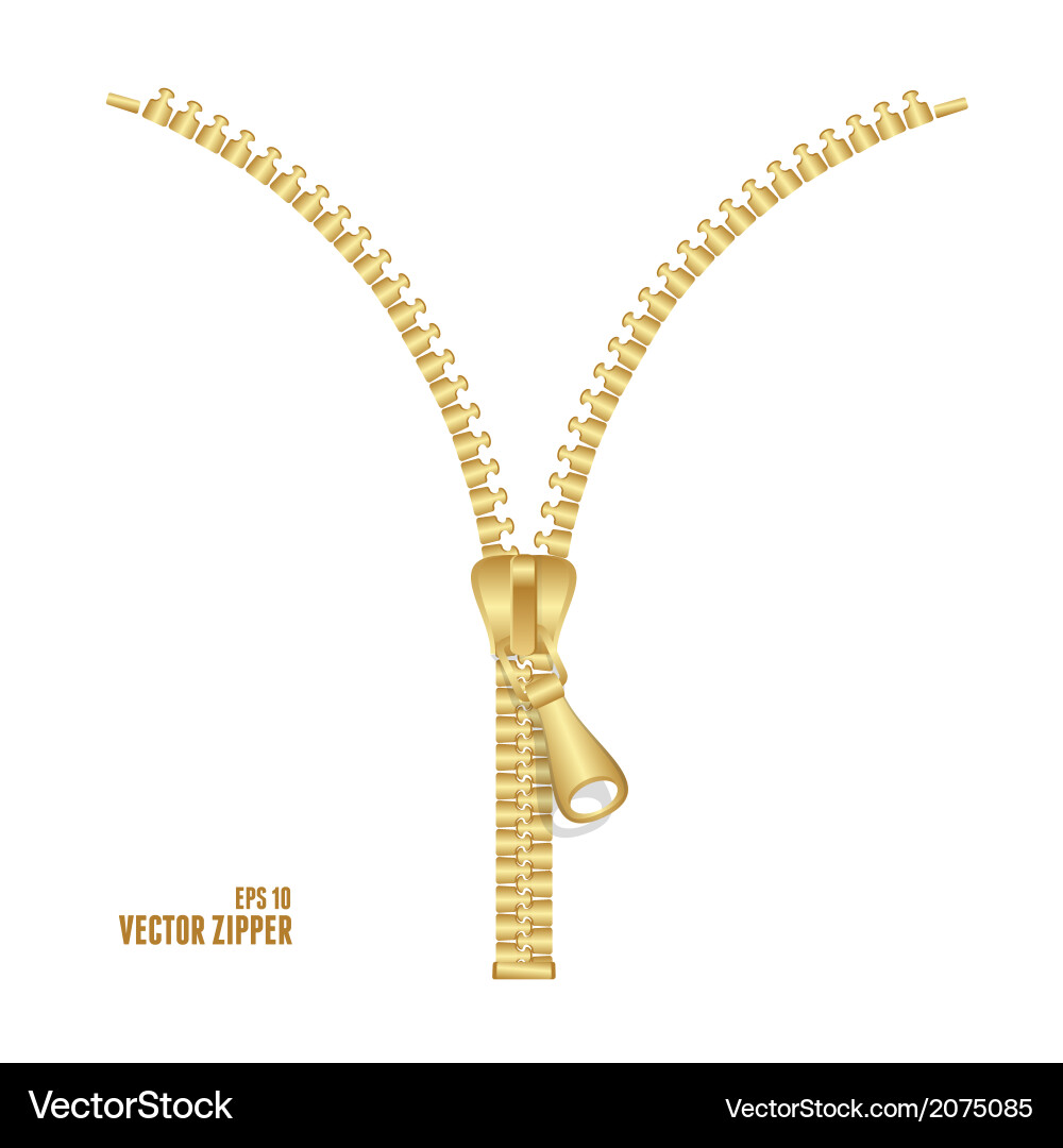 Realistic golden zipper Royalty Free Vector Image