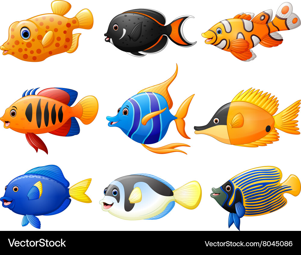 Fish cartoon set Royalty Free Vector Image - VectorStock