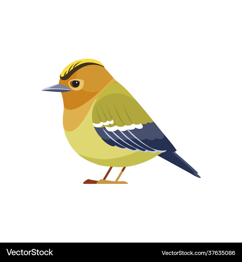 Kinglet bird golden-crowned is a very Royalty Free Vector